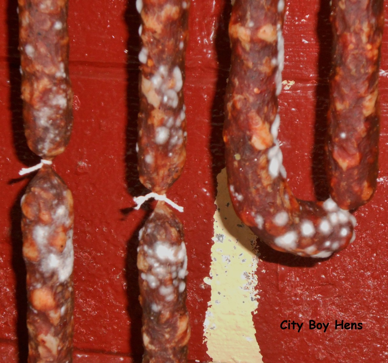 Making Salami | City Boy Hens