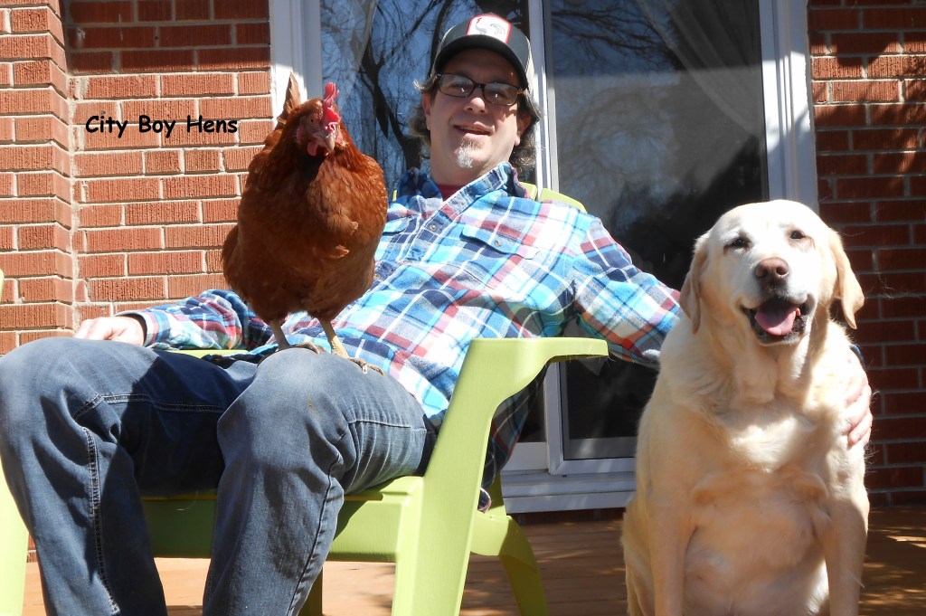 The Dreaded EGG SONG Has Arrived! | City Boy Hens