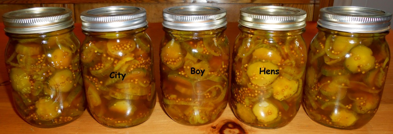 Bread & Butter Pickles | City Boy Hens