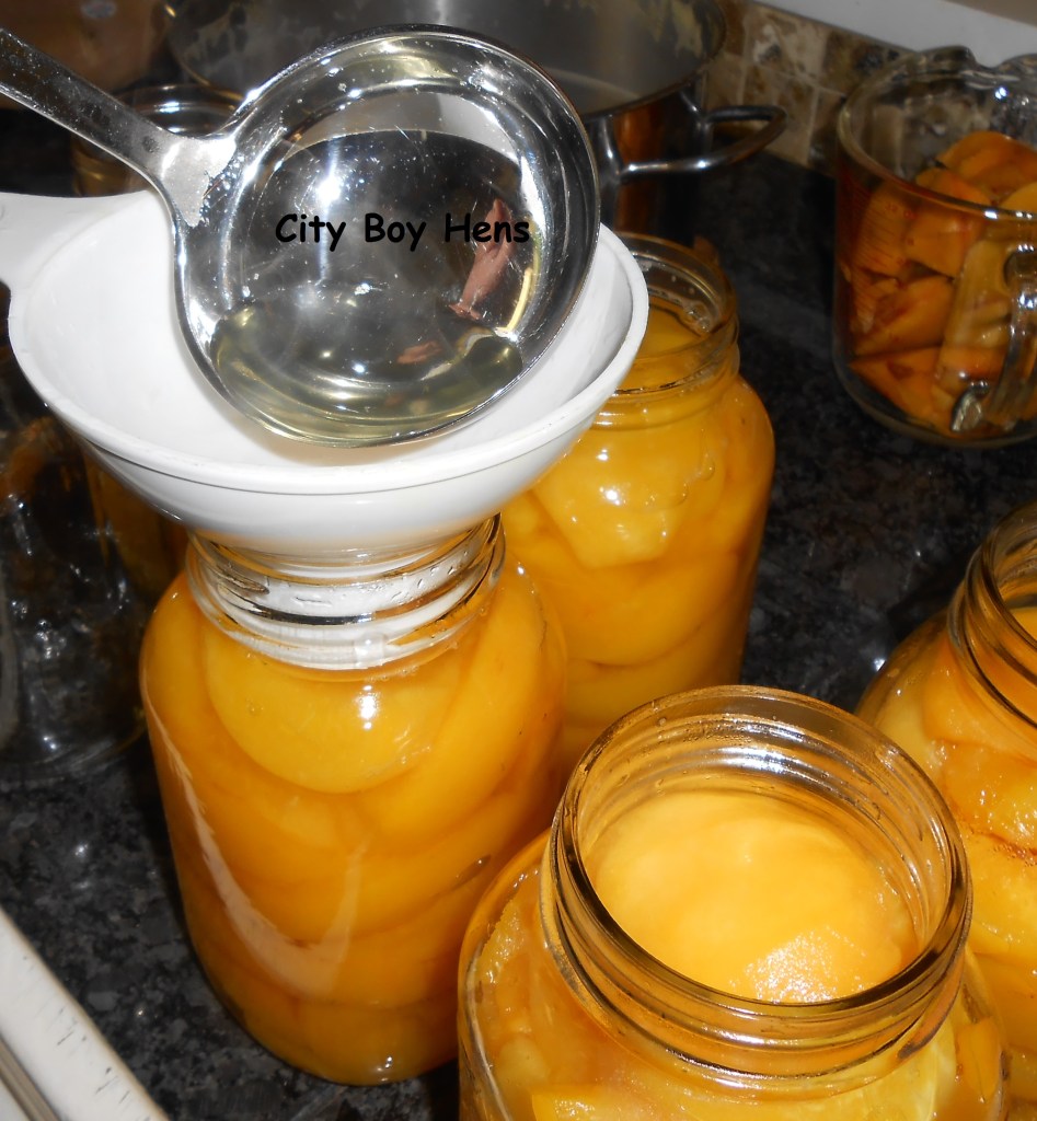 How To Preserve Peaches | City Boy Hens
