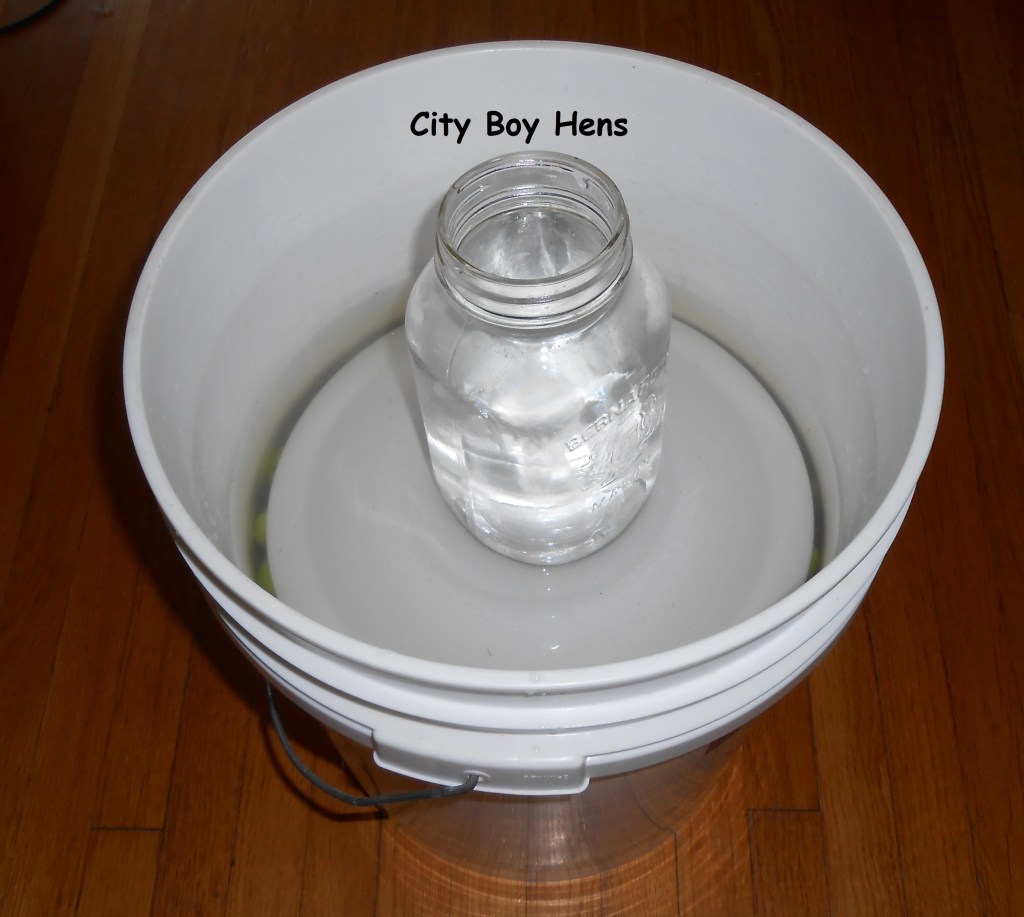 Curing Olives May Be EASIER Than You Think! | City Boy Hens