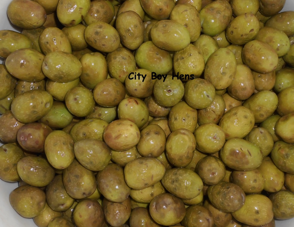 Curing Olives May Be EASIER Than You Think! | City Boy Hens