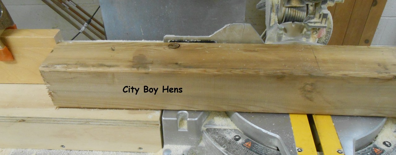 Making An Elevated Stand For Your Beehive | City Boy Hens