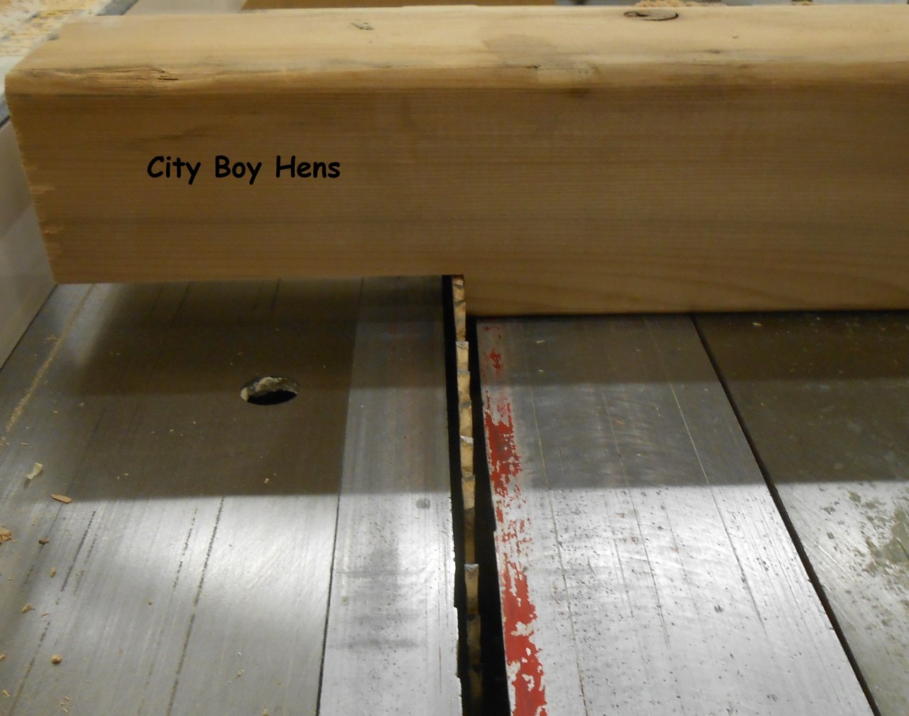 Making An Elevated Stand For Your Beehive | City Boy Hens